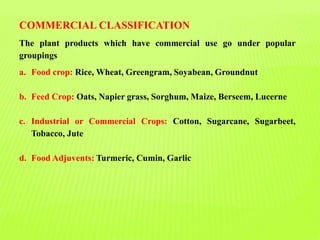 Classification of crops | PPTX