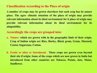 Classification of crops | PPTX