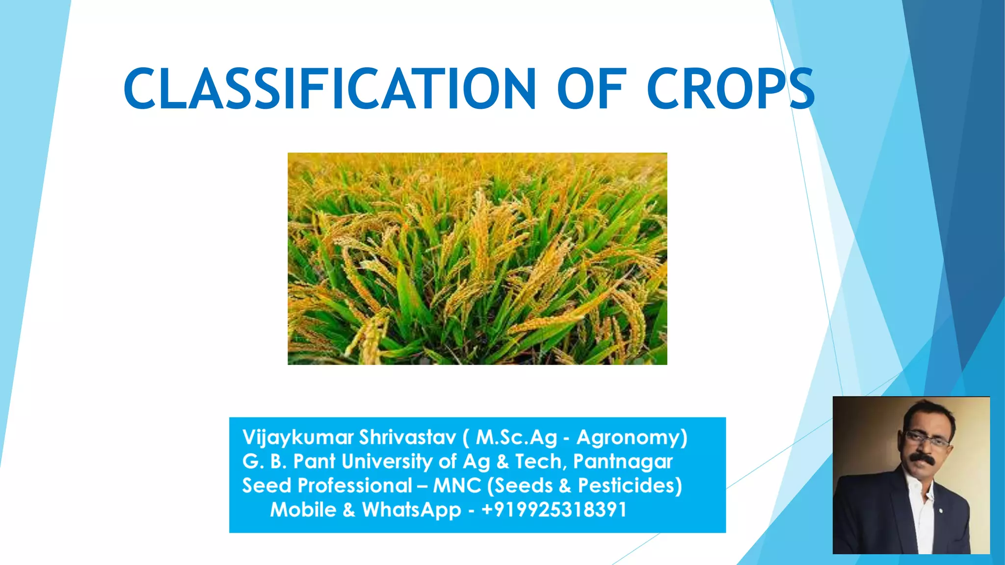 Classification of crops | PPTX