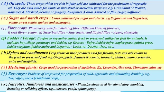 Classification of crops | PPTX