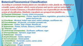 Classification of crops | PPTX