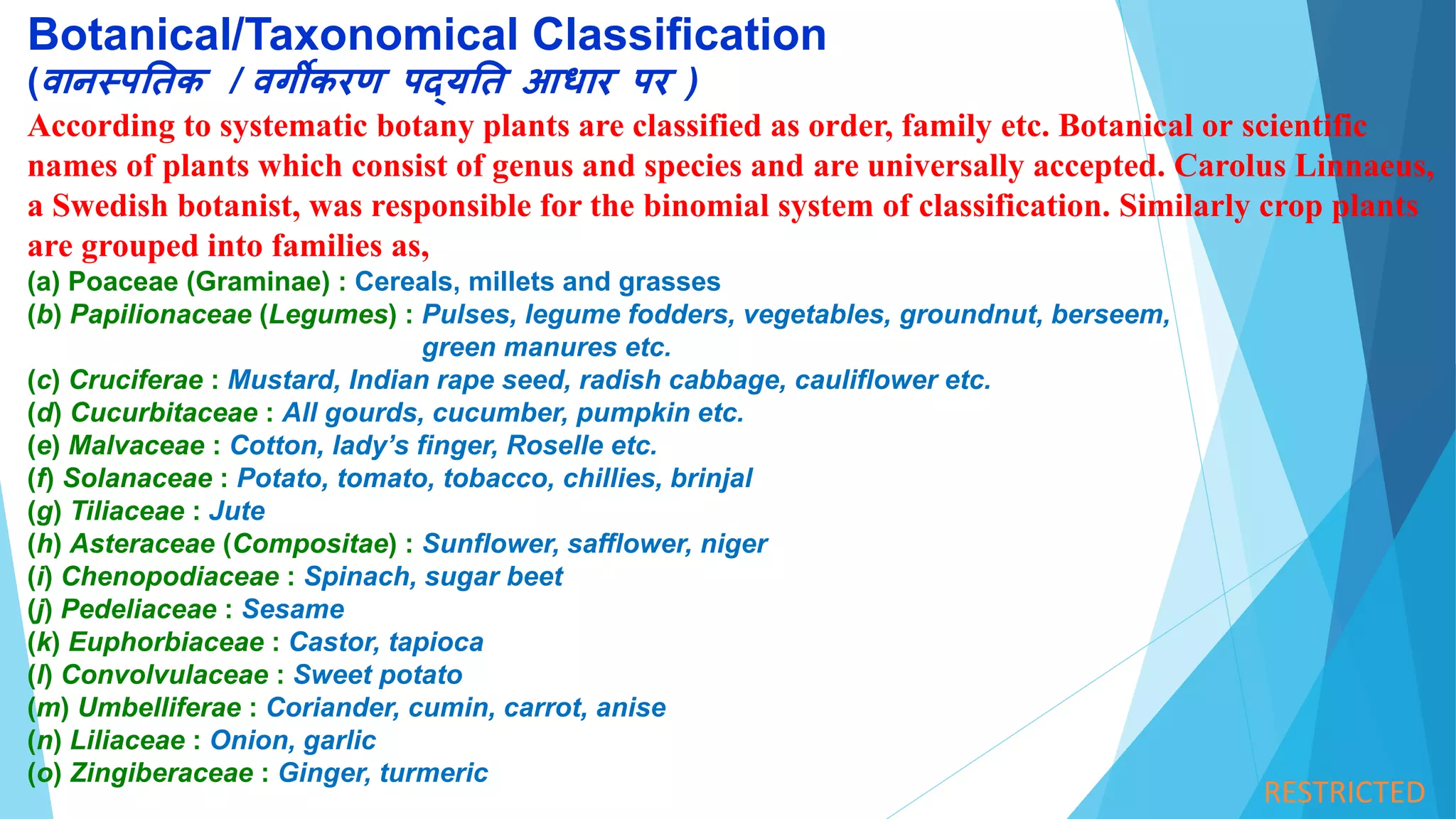 Classification of crops..Hindi | PPTX