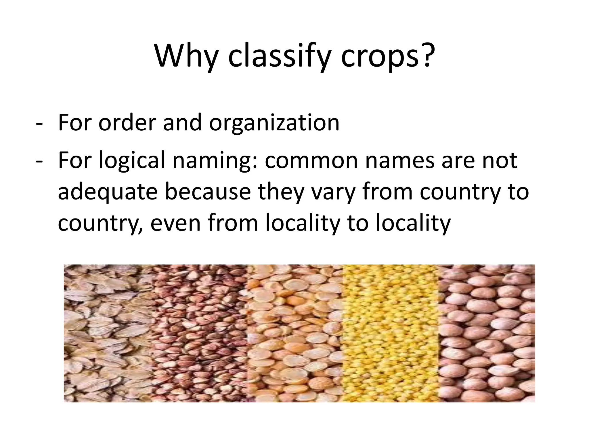 CLASSIFICATION OF CROPS.pptx