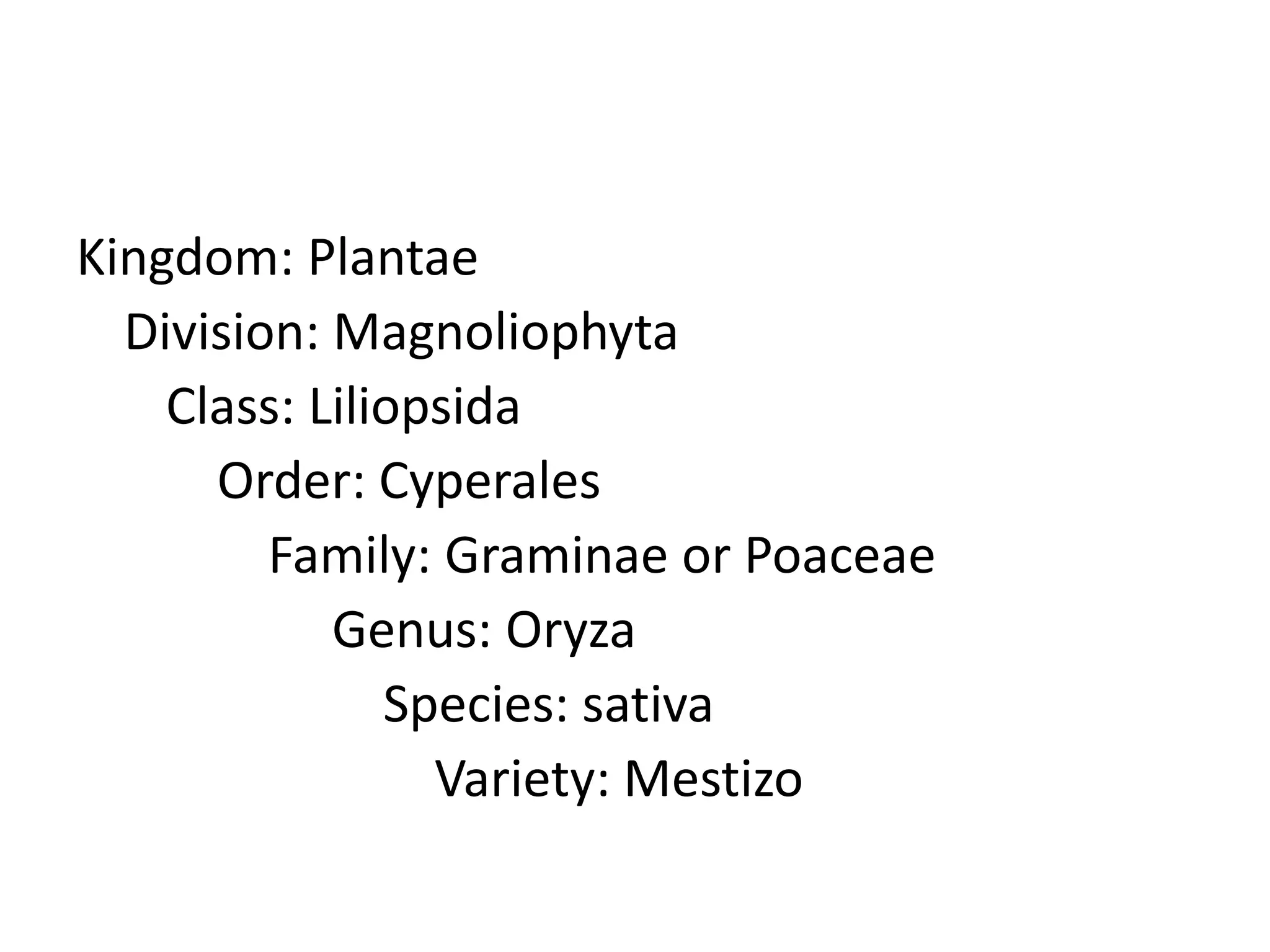 CLASSIFICATION OF CROPS.pptx