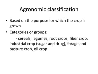 CLASSIFICATION OF CROPS.pptx