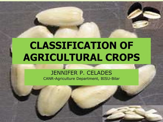 Classification of Agricultural Crops ppt | PPT