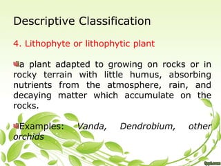 Classification of Agricultural Crops ppt | PPT
