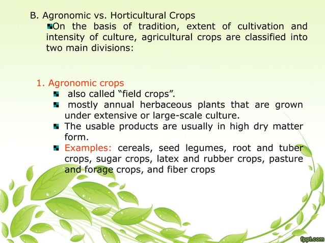 Classification of Agricultural Crops ppt | PPT