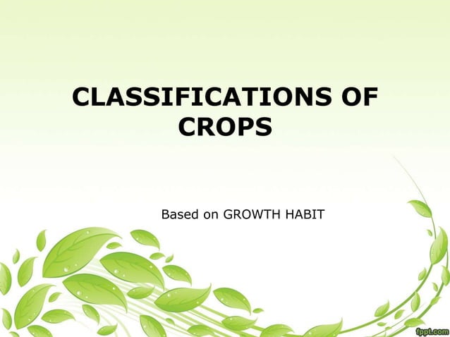 Classification of Agricultural Crops ppt | PPT