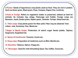 classificationofcrops 2019-20.pptx