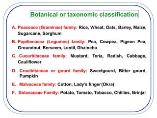 classificationofcrops 2019-20.pptx