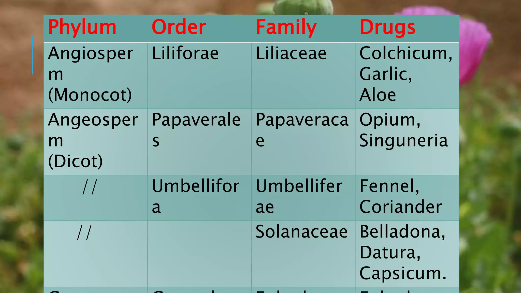 Classification of crude drugs (Pharmacognosy) | PPTX