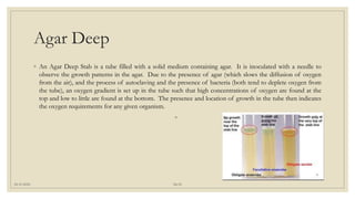 Classification of culture media | PPT