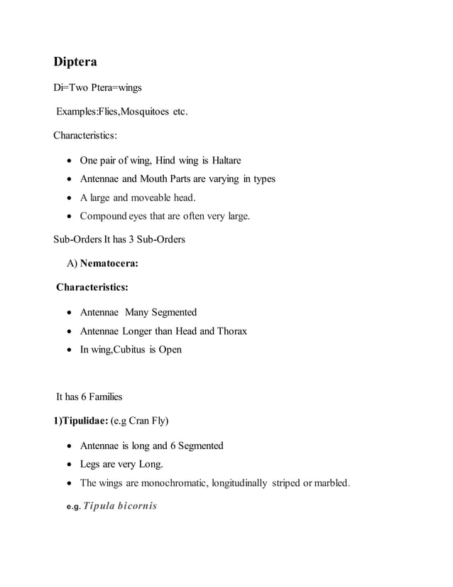 Classification of Diptera | PDF