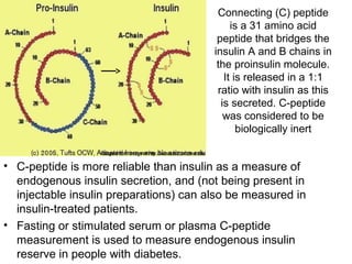 Pathophysiology and Classification of diabetes by Dr Selim | PPT