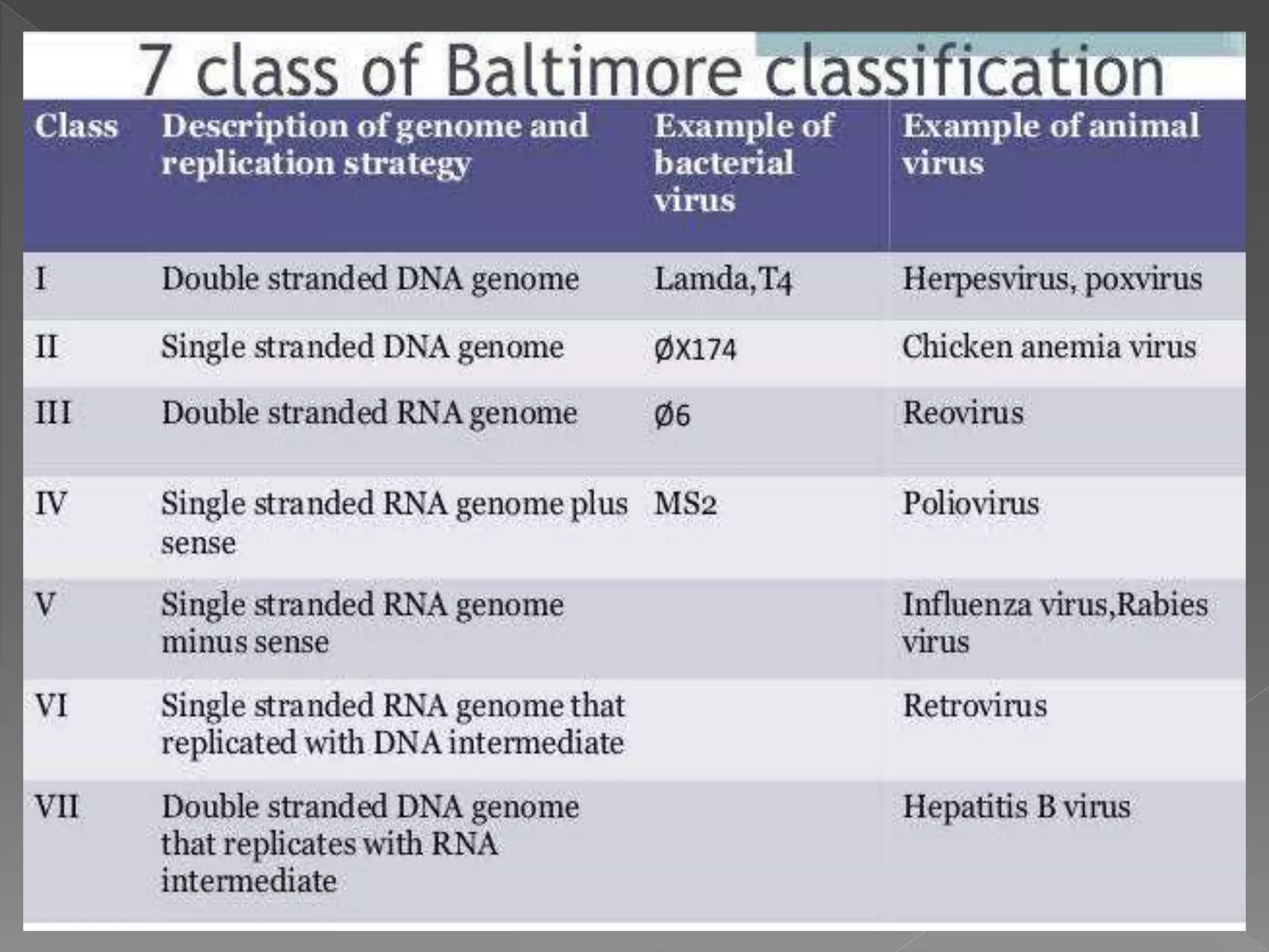Classification of dna virus ppt | PPTX
