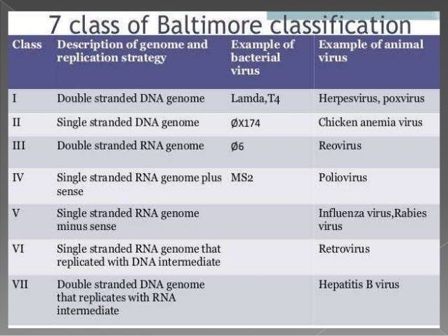 Classification of dna virus ppt