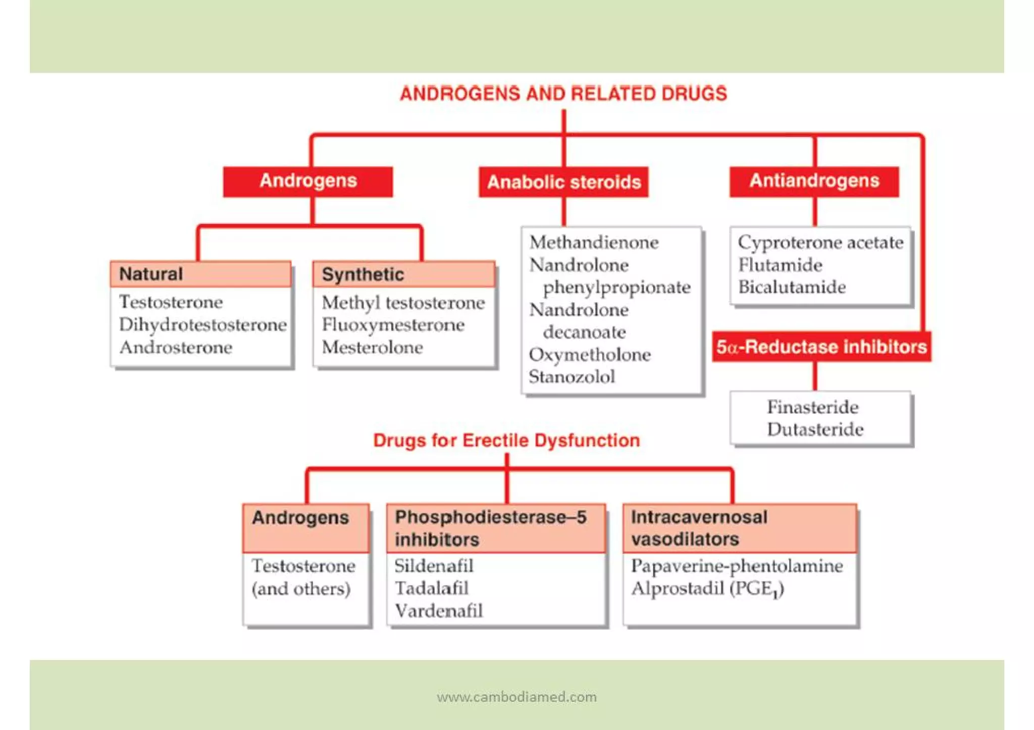Classification of drugs | PDF