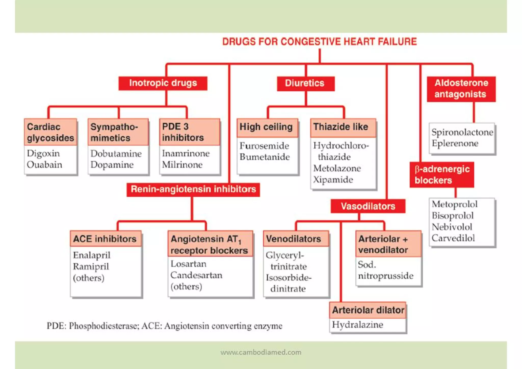 Classification of drugs | PDF
