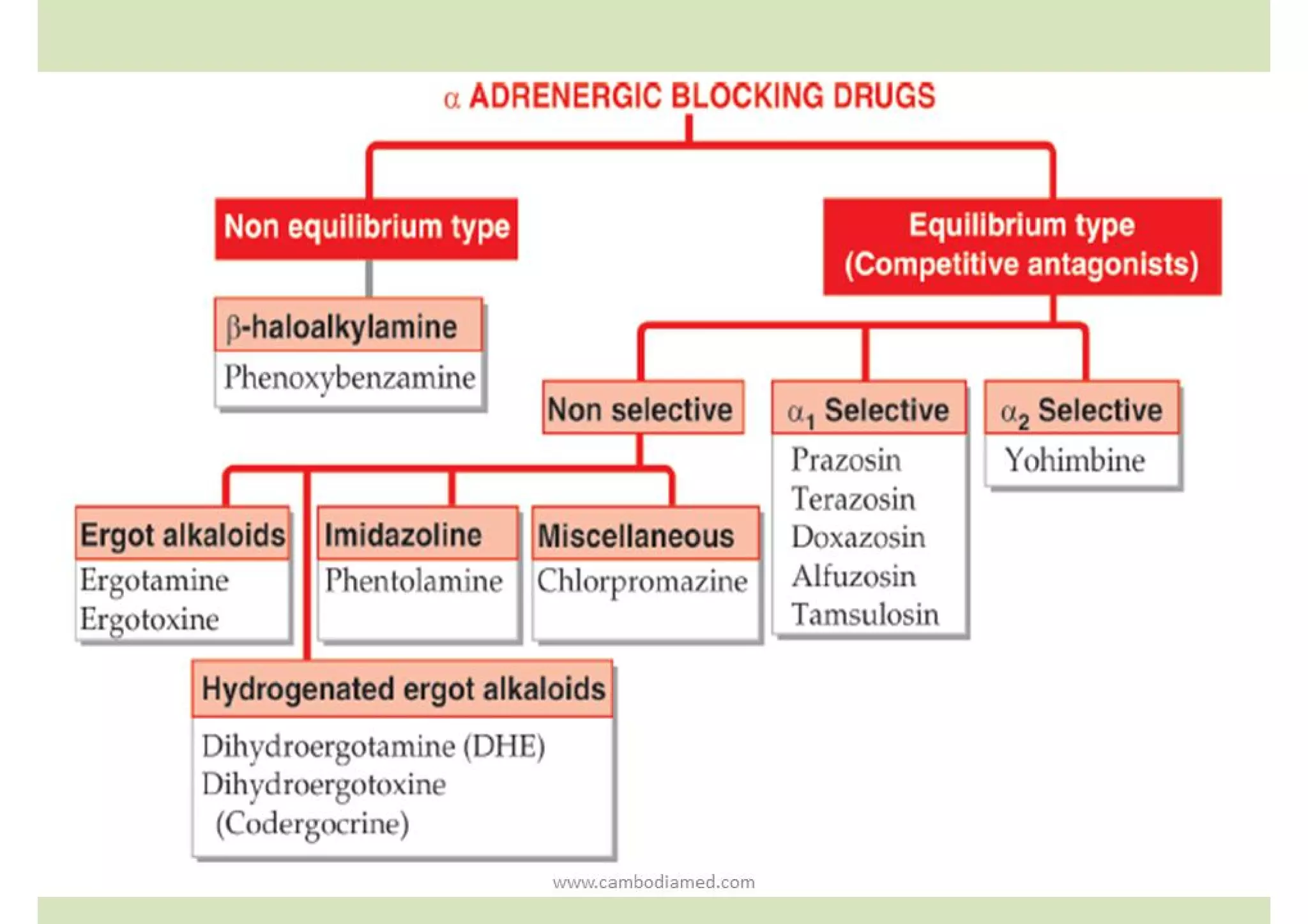 Classification of drugs | PDF