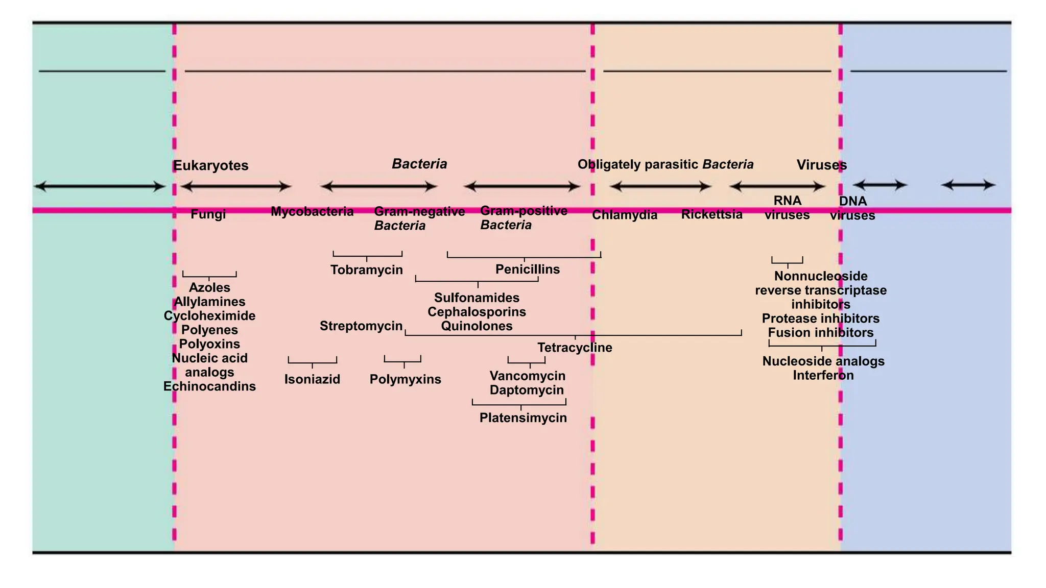 Classification of drugs.pptx iysbbsbbsbb | PPTX