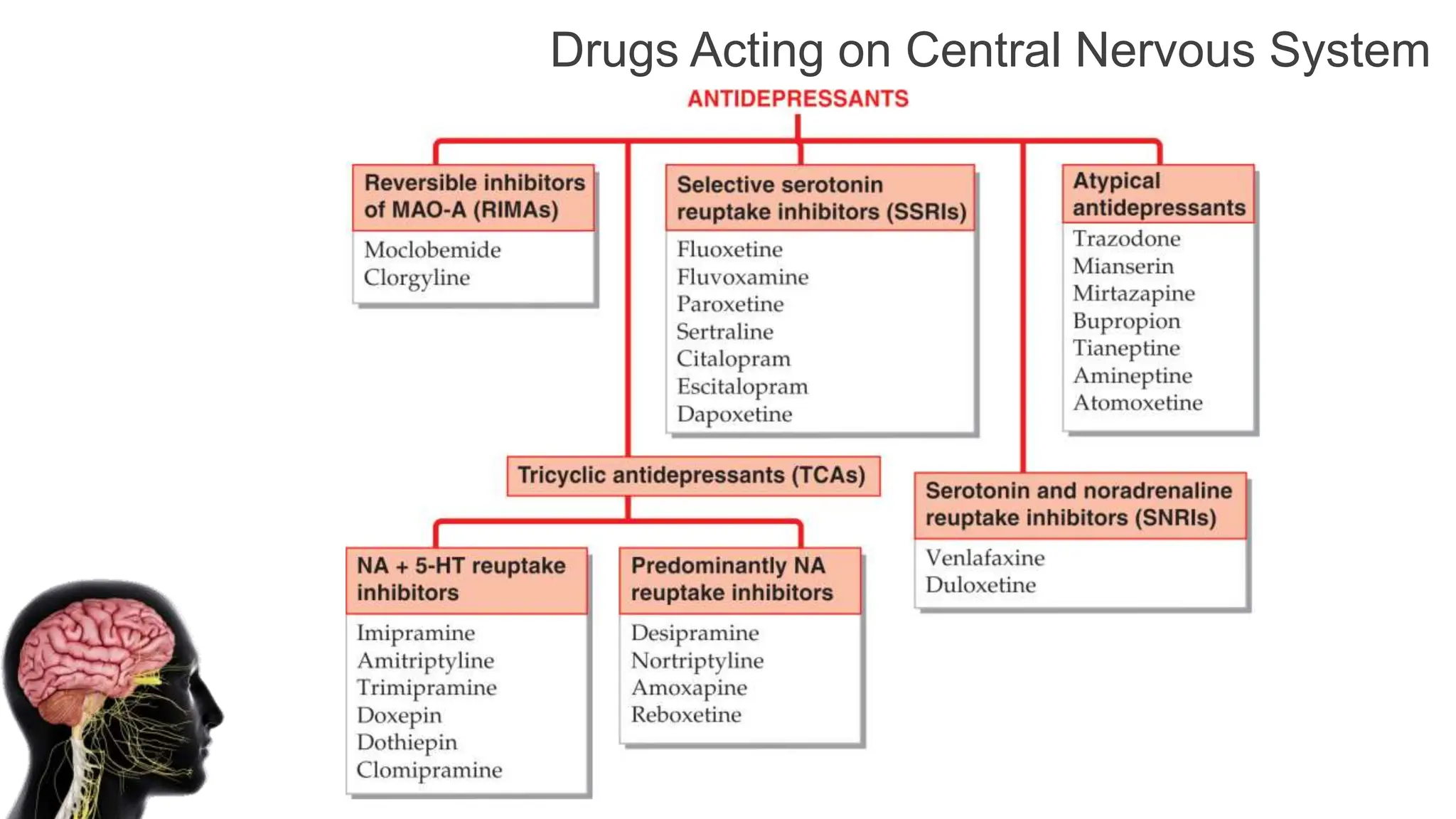 Classification of drugs kt tripati for mbbs /bds / allied notes | PPT