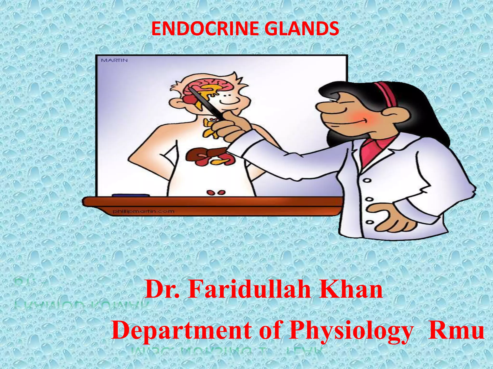 classification of endocrine glands and there function.pptx