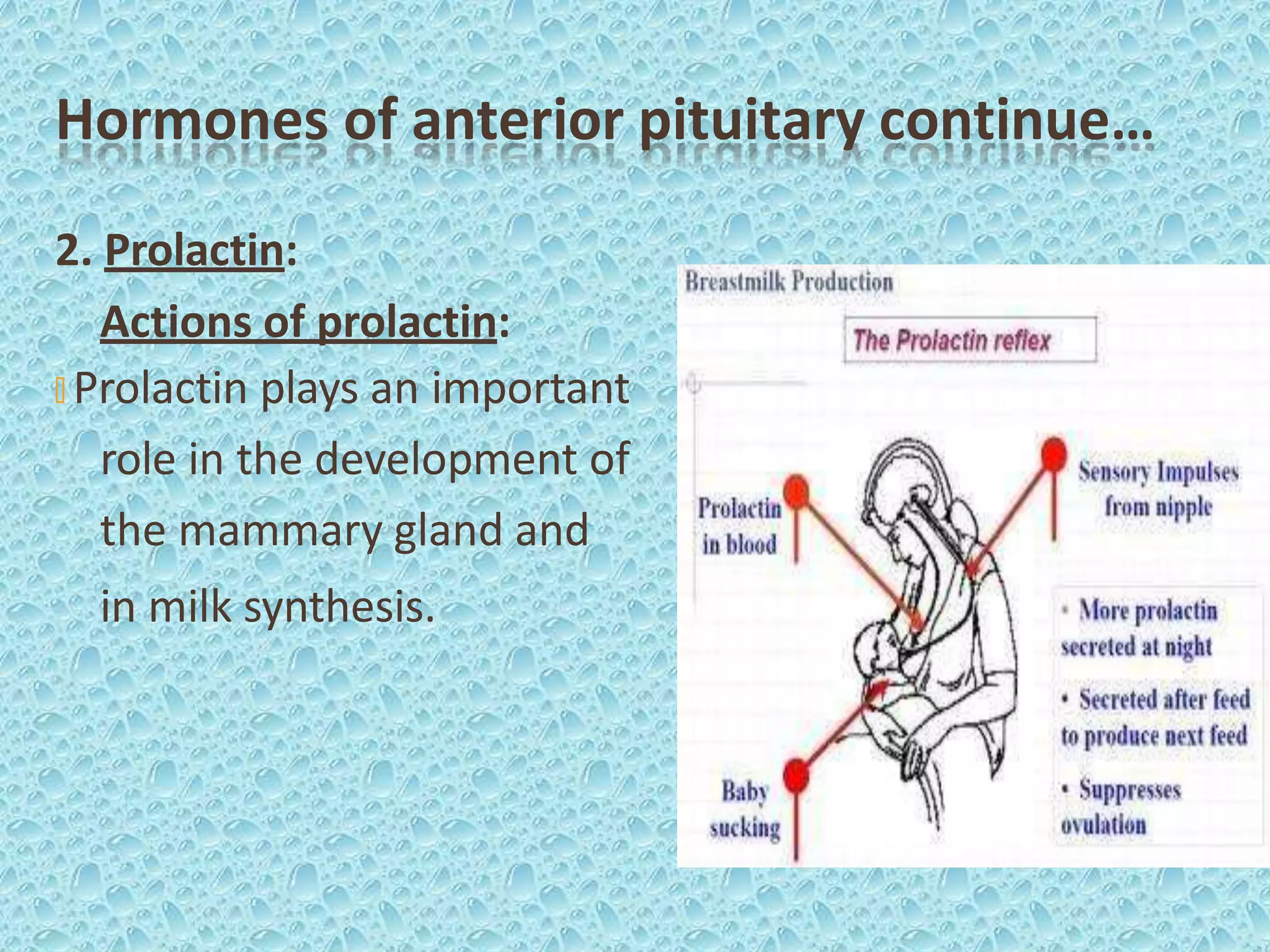 classification of endocrine glands and there function.pptx