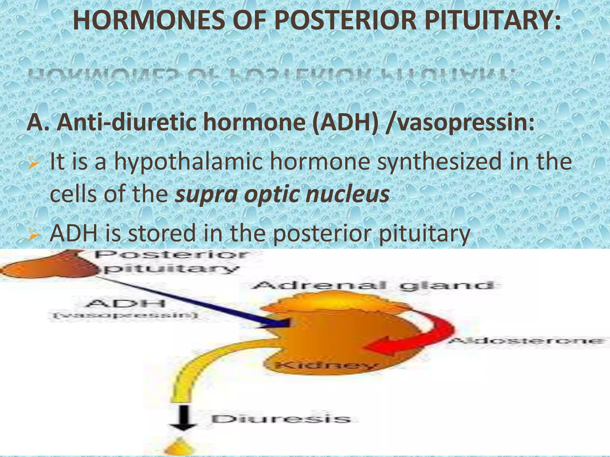 classification of endocrine glands and there function.pptx