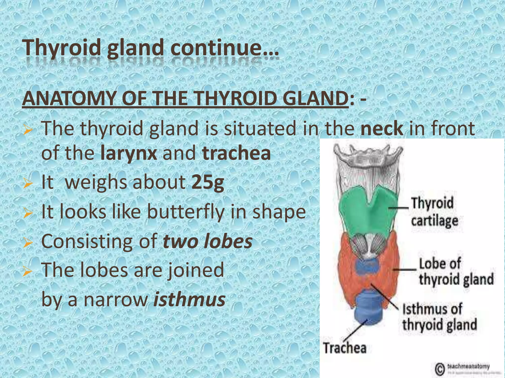 classification of endocrine glands and there function.pptx