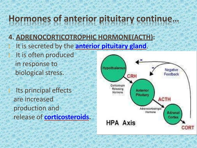 classification of endocrine glands and there function.pptx | Endocrine ...