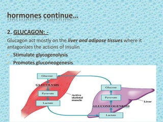 classification of endocrine glands and there function.pptx