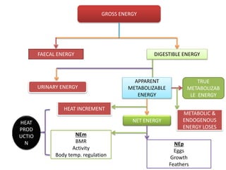 Classification of energy related to poultry | PPTX