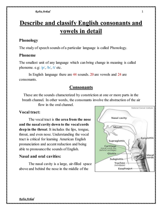 classification of English vowels & consonants.docx | Ear, Nose and ...