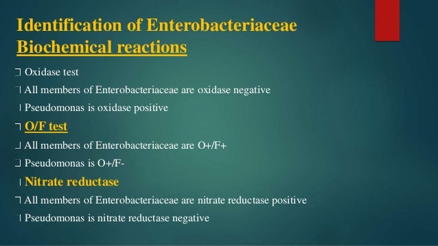Classification of enterbacteriaceae and biochemical reactions | PPTX