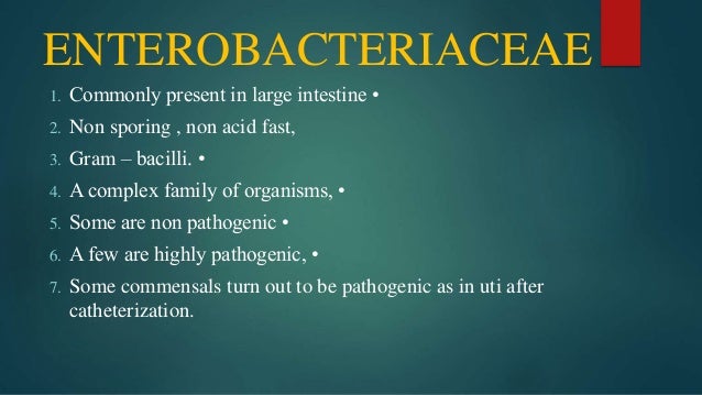 Classification of enterbacteriaceae and biochemical reactions | PPTX