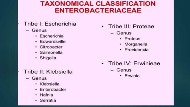 Classification of enterbacteriaceae and biochemical reactions | PPTX