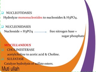 Classification of enzymes and properties of enzymes | PPTX