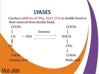 Classification of enzymes and properties of enzymes | PPTX