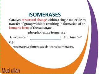 Classification of enzymes and properties of enzymes | PPTX