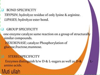 Classification of enzymes and properties of enzymes | PPTX