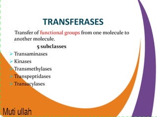 Classification of enzymes and properties of enzymes | PPTX