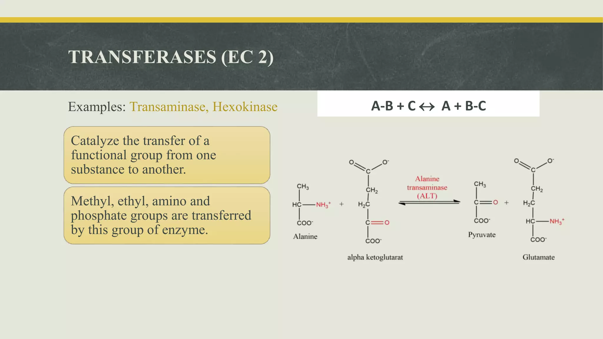 Classification of enzymes | PPTX
