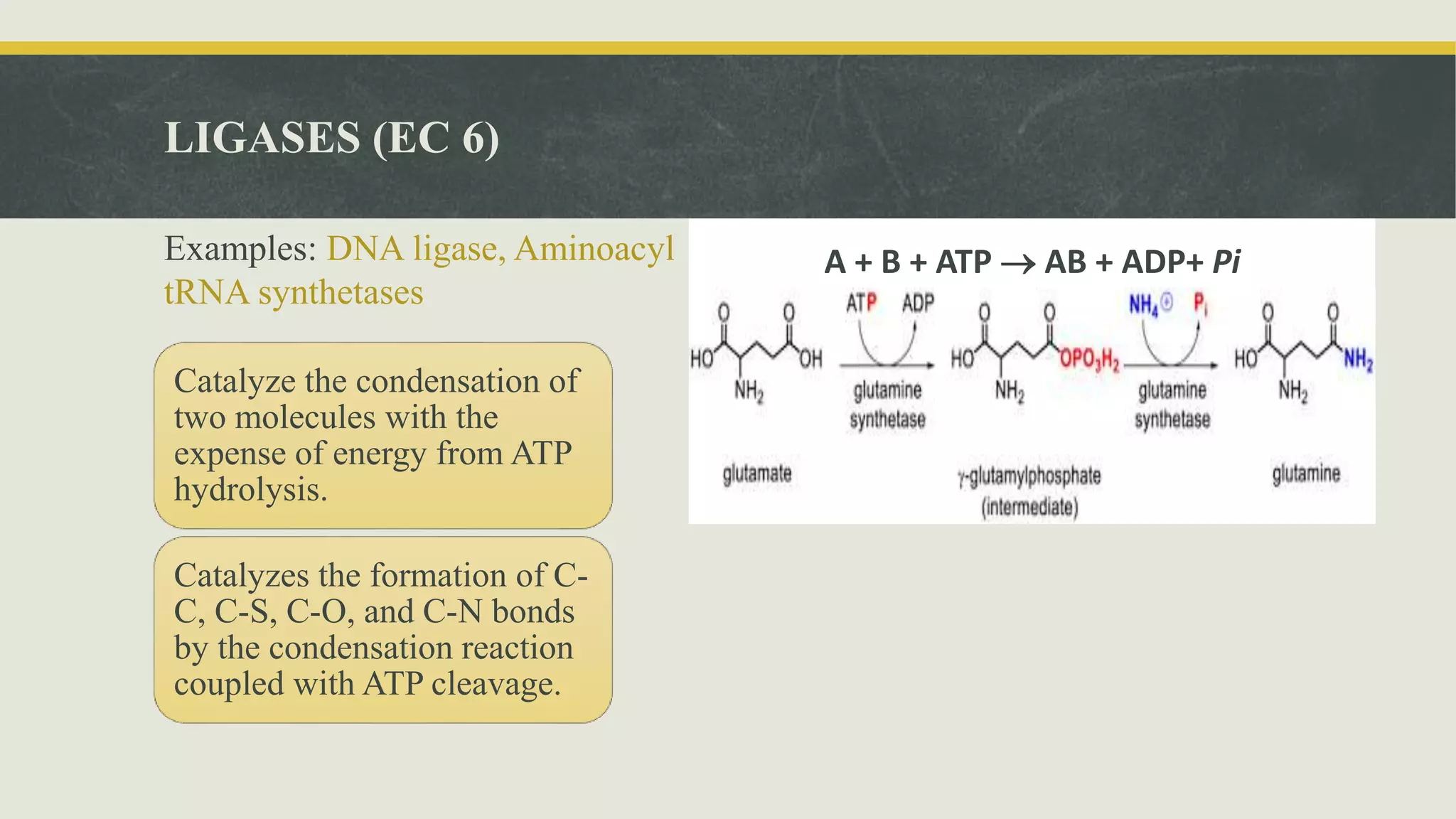 Classification of enzymes | PPTX