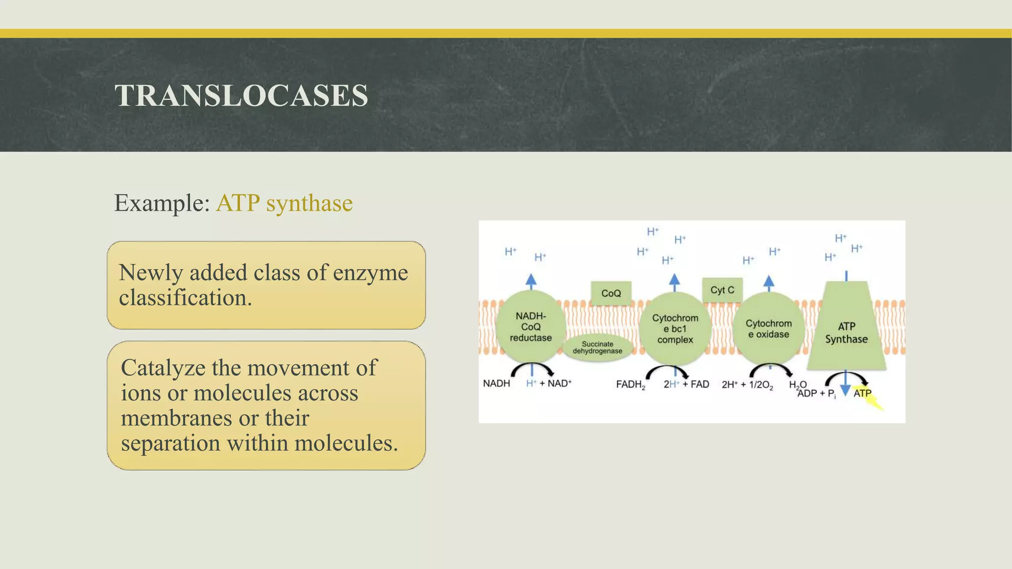 Classification of enzymes | PPTX