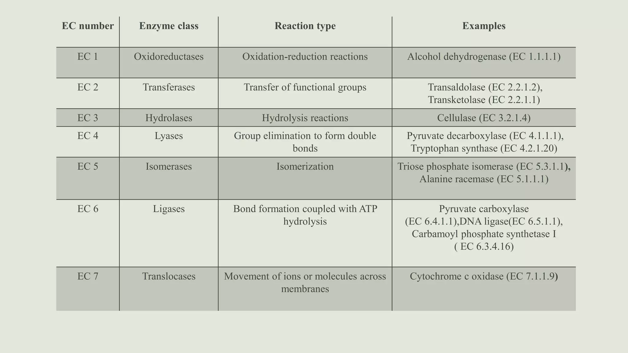 Classification of enzymes | PPTX