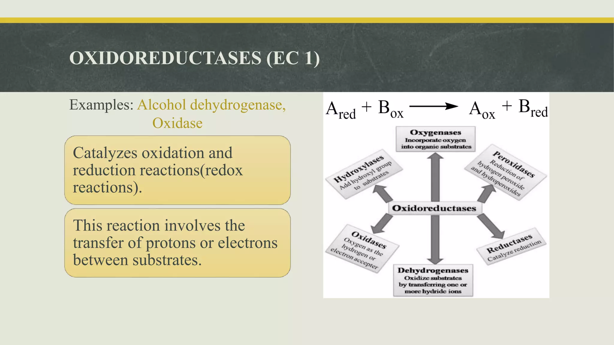 Classification of enzymes | PPTX