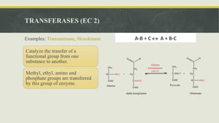 Classification of enzymes | PPTX