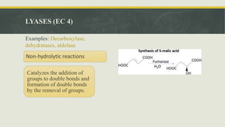 Classification of enzymes | PPTX