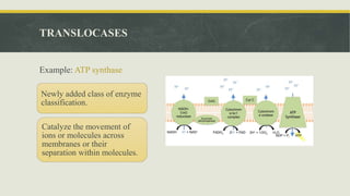 Classification of enzymes | PPTX